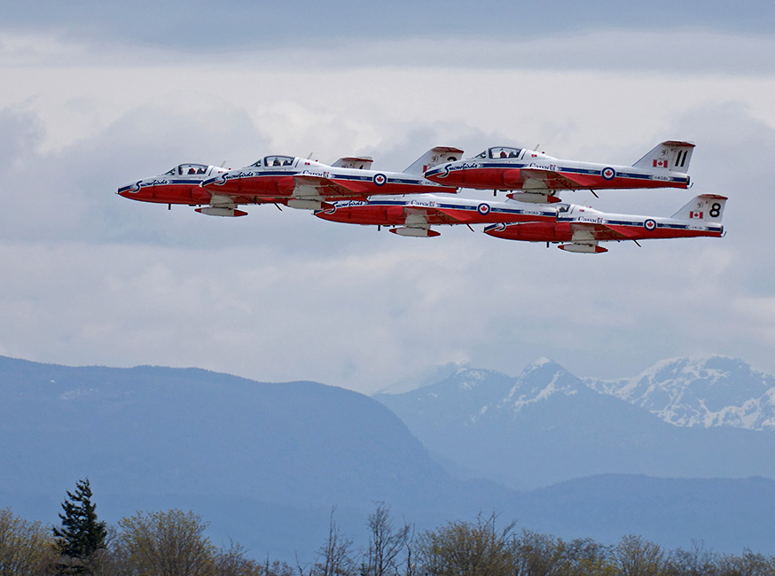 Mural of Honour - 198 Snowbirds